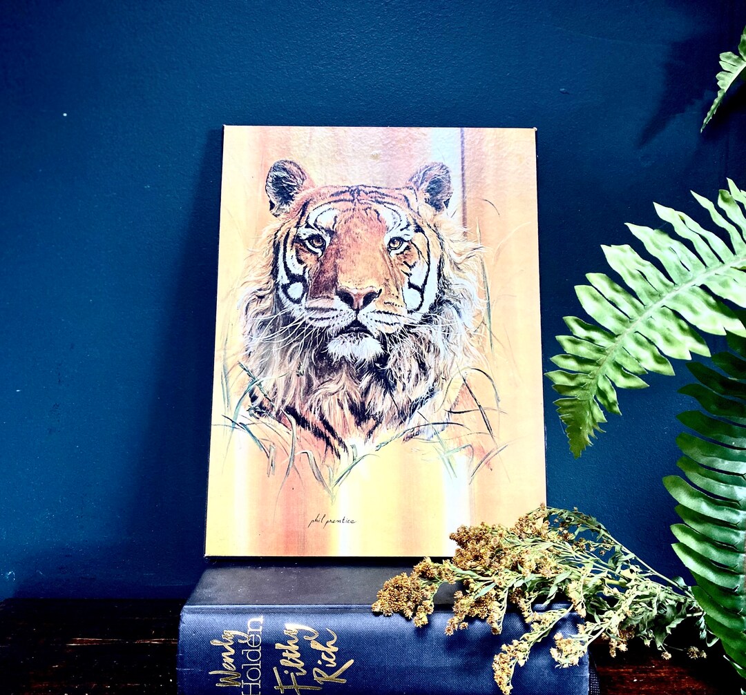 Tiger Vintage Print, 1970s, by Phil Prentice. Vintage Retro Wall Art ...