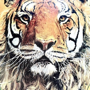 Vintage 1970s Tiger Print by Phil Prentice: Retro Wildlife Wall Art - Etsy
