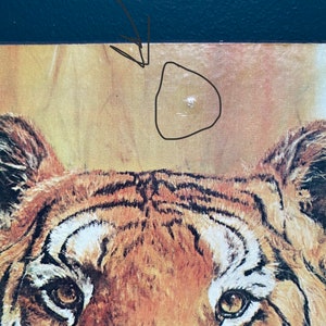 Vintage 1970s Tiger Print by Phil Prentice: Retro Wildlife Wall Art - Etsy