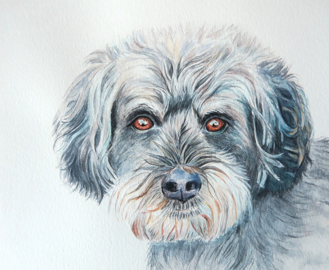 Custom Dog Portrait From Photo | Etsy