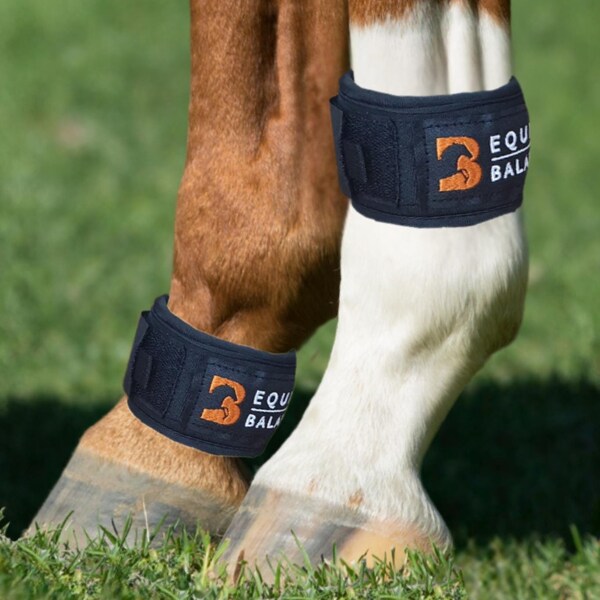 Leg Band - Etsy