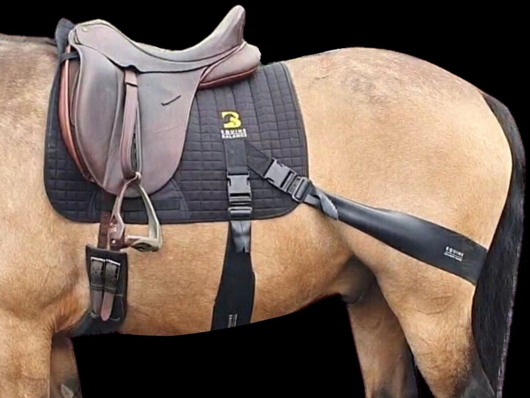 Equine Band System Dressage - Etsy