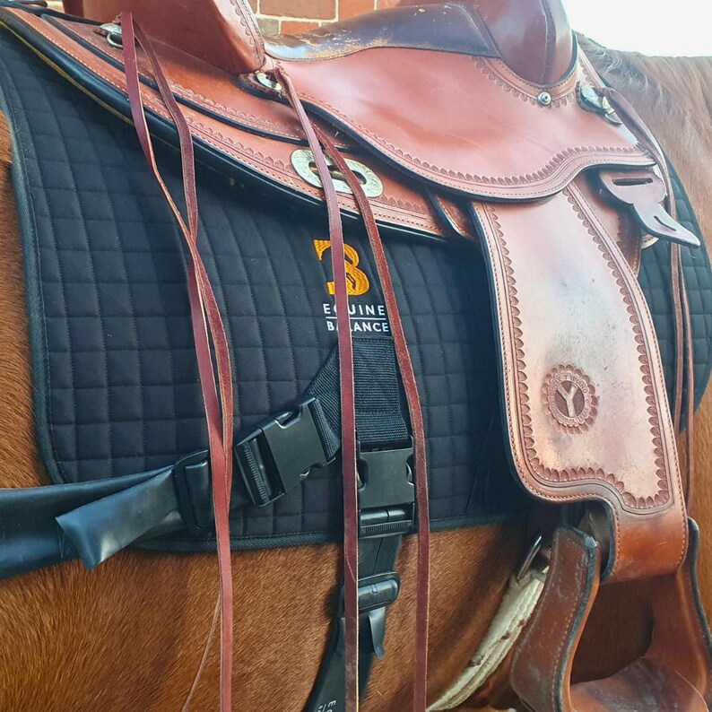Equine Band System Western. Equiband Alternative by Equine Balance ...