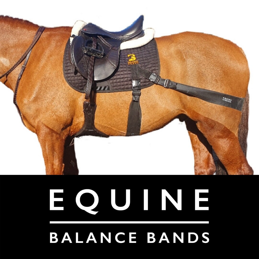Equine Band System - Etsy