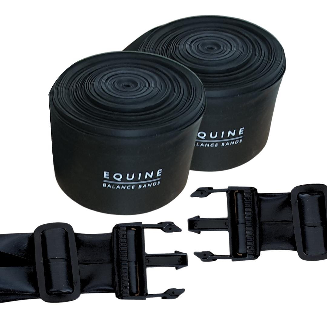 Equine Balance Bands Replacement Equibands and Buckles - Etsy
