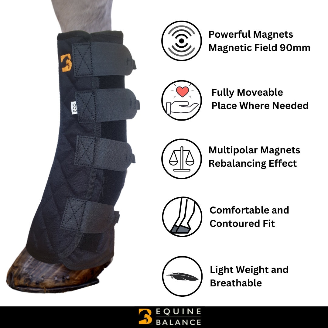 Magnetic Boots for Horses Therapy Boot by Equine Balance - Etsy