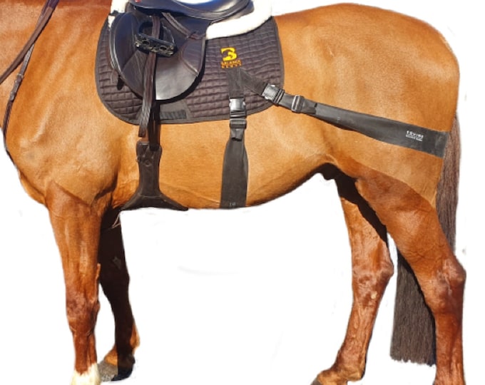 Equine Core Conditioning System: Saddle Pad With Equibands - Etsy Canada