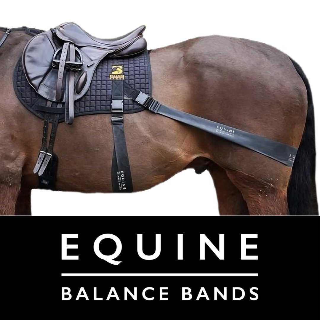 Equine Band System Sport Model Equine Core Conditioning Saddle - Etsy