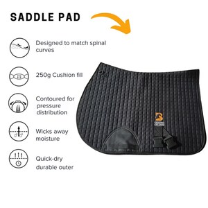 Equine Band System Western. Equiband Alternative by Equine Balance ...