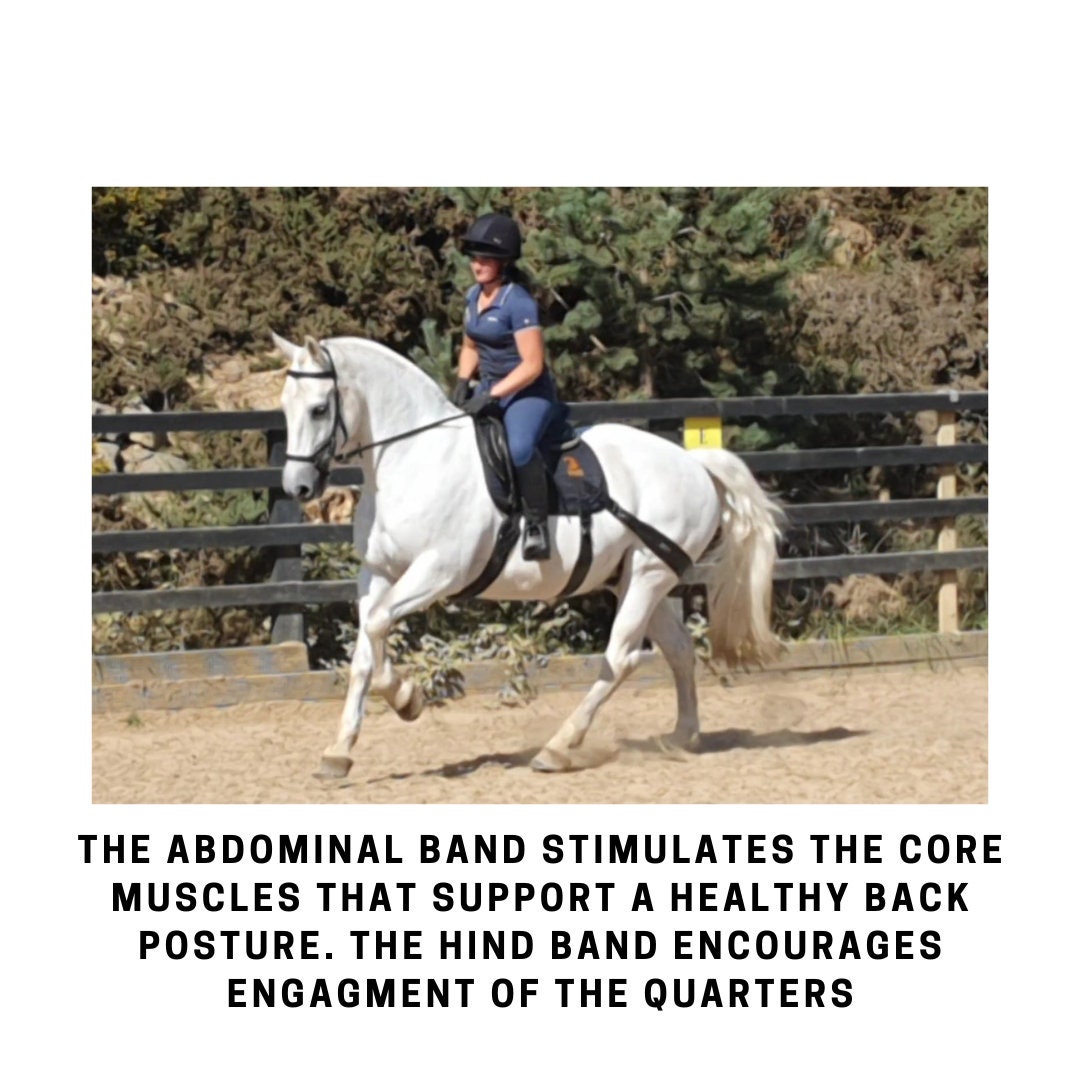 Equine Band Core Trainer Saddle Pad Conversion Kit - Etsy