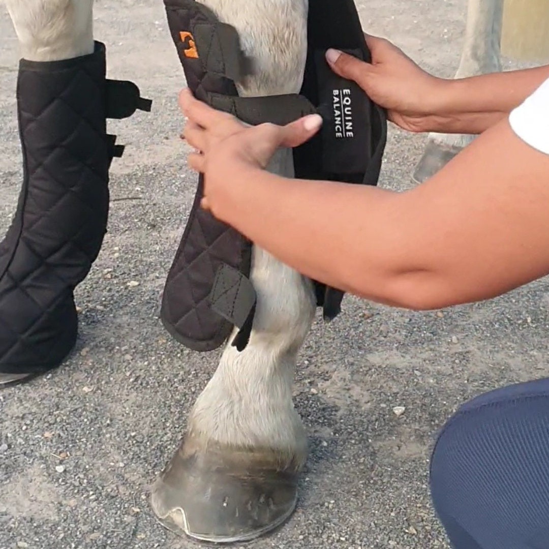 Magnetic Boots for Horses Therapy Boot by Equine Balance - Etsy