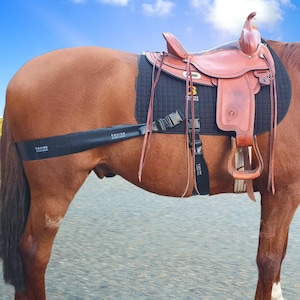 Equine Band System Western. Equiband Alternative by Equine Balance ...