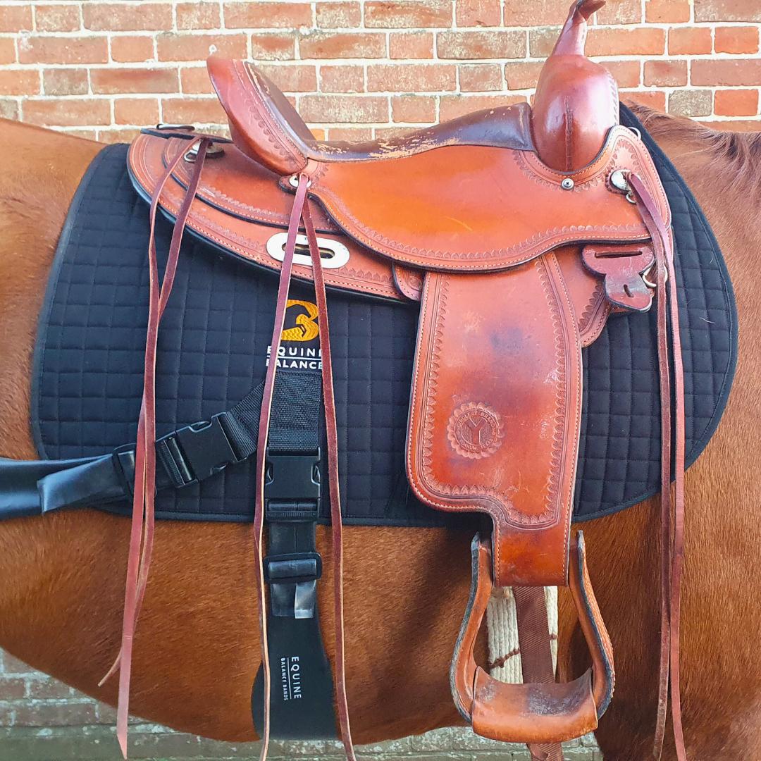 Equine Band System Western. Equiband Alternative by Equine Balance ...