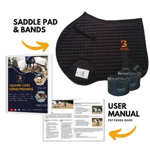 Equine Band System Sport Model Equine Core Conditioning Saddle Pad ...