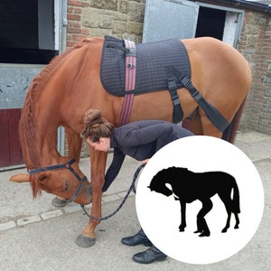 Equine Band Core Trainer Saddle Pad Conversion Kit - Etsy