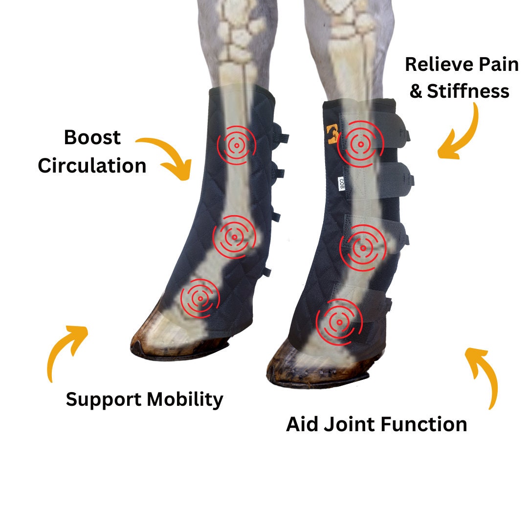 Magnetic Boots for Horses Therapy Boot by Equine Balance - Etsy