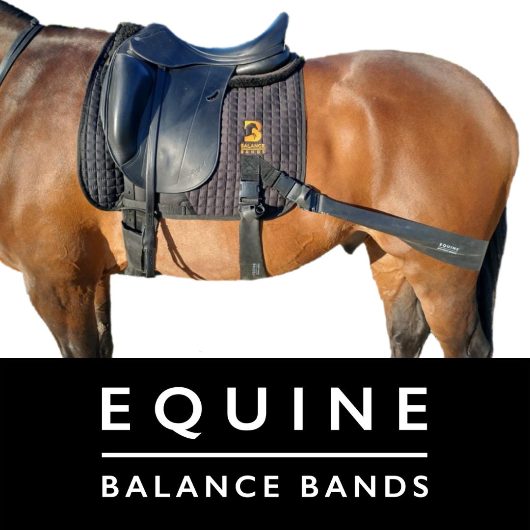 Equine Band System Dressage - Etsy