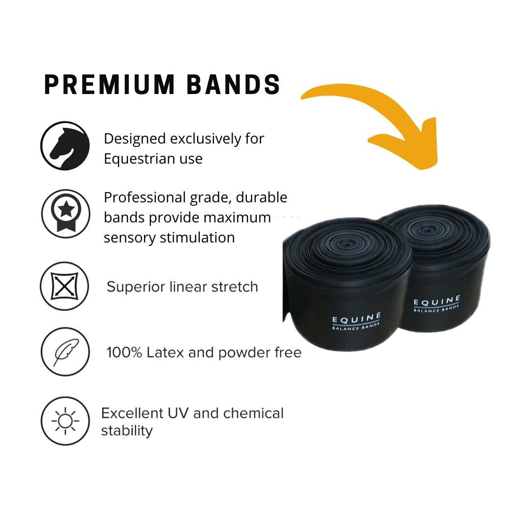 Equine Band System Western. Equiband Alternative by Equine Balance ...