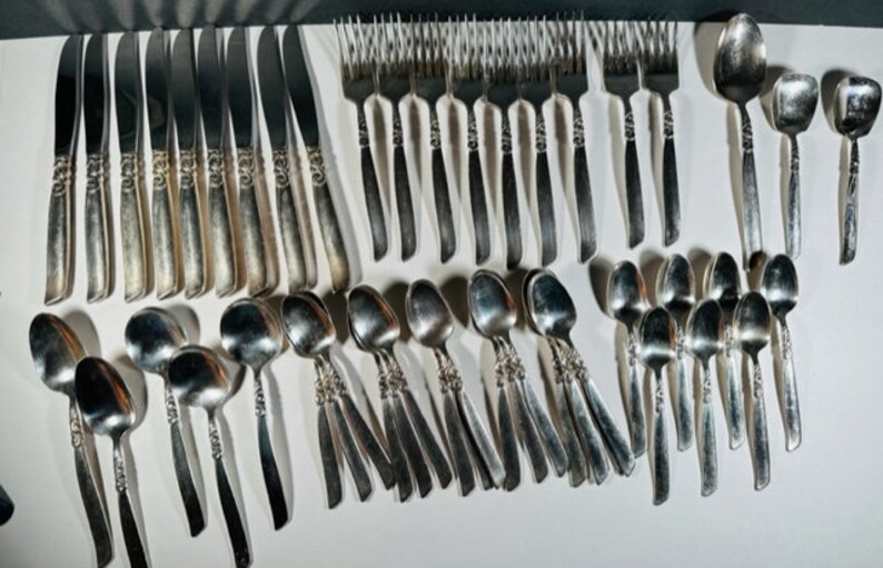 50 Pc Set Oneida Community South Seas Silverplate Flatware - Etsy