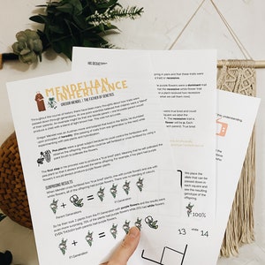 Intro to Genetics Unit, Middle Years Science, High School Science ...