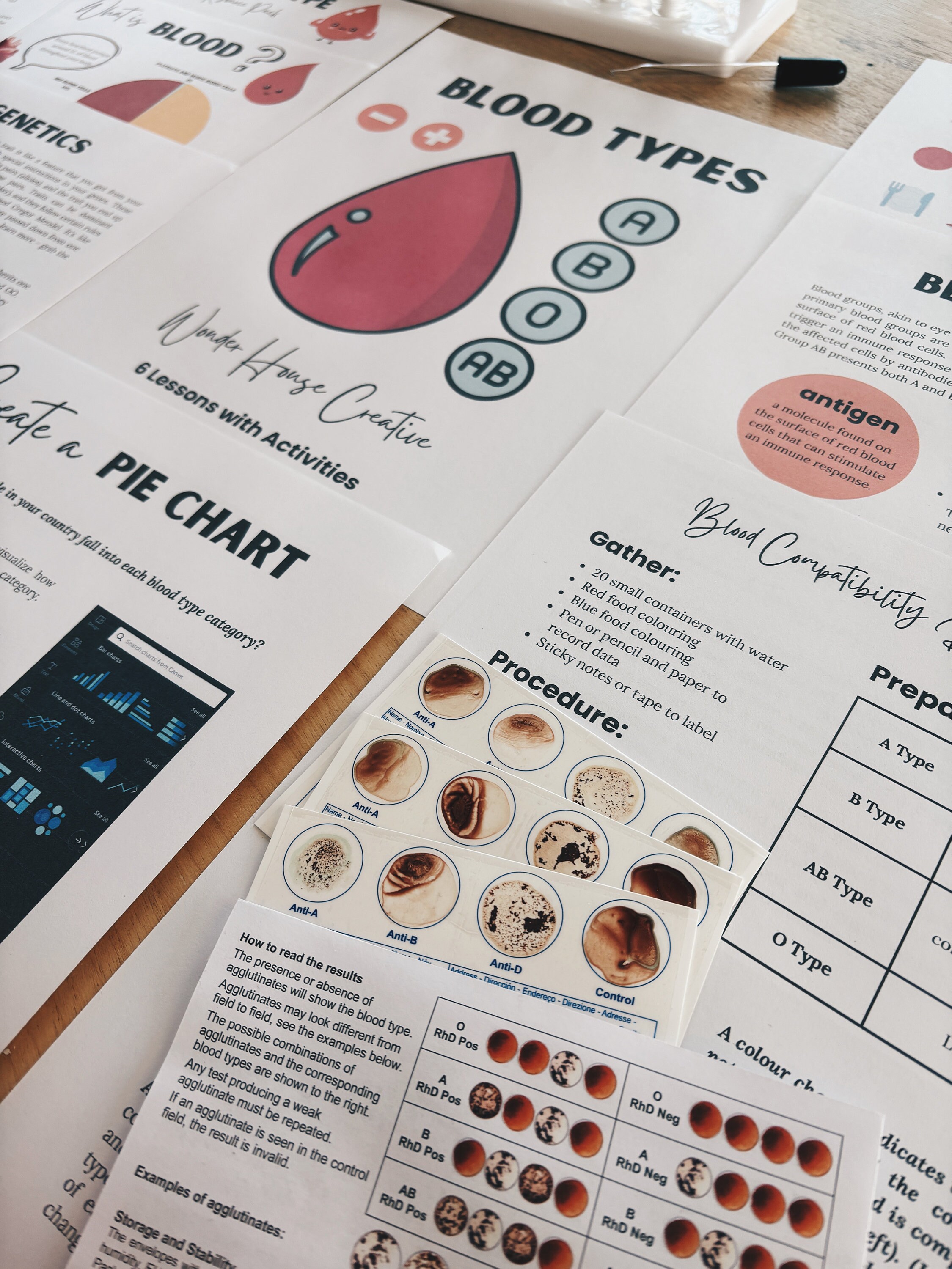 Blood Type Resource Pack, Middle School + High School Biology, Science ...
