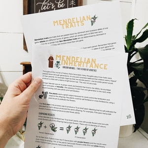 Intro to Genetics Unit, Middle Years Science, High School Science ...