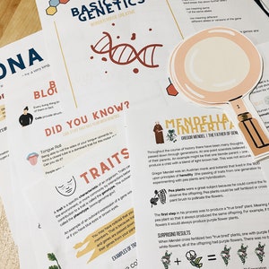 Intro to Genetics Unit, Middle Years Science, High School Science ...