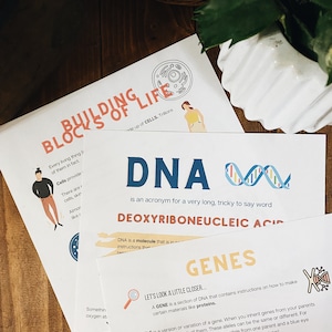 Intro to Genetics Unit, Middle Years Science, High School Science ...