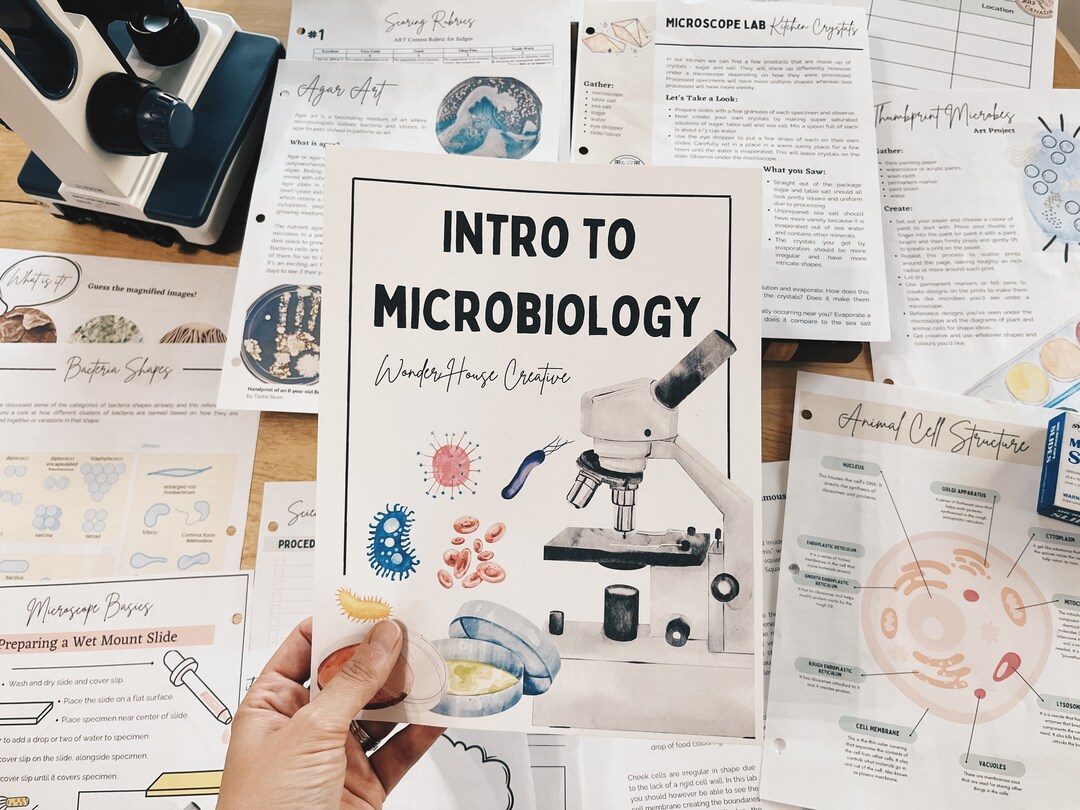 Intro to Microbiology Unit Study, Middle Years Science Unit, Print at ...