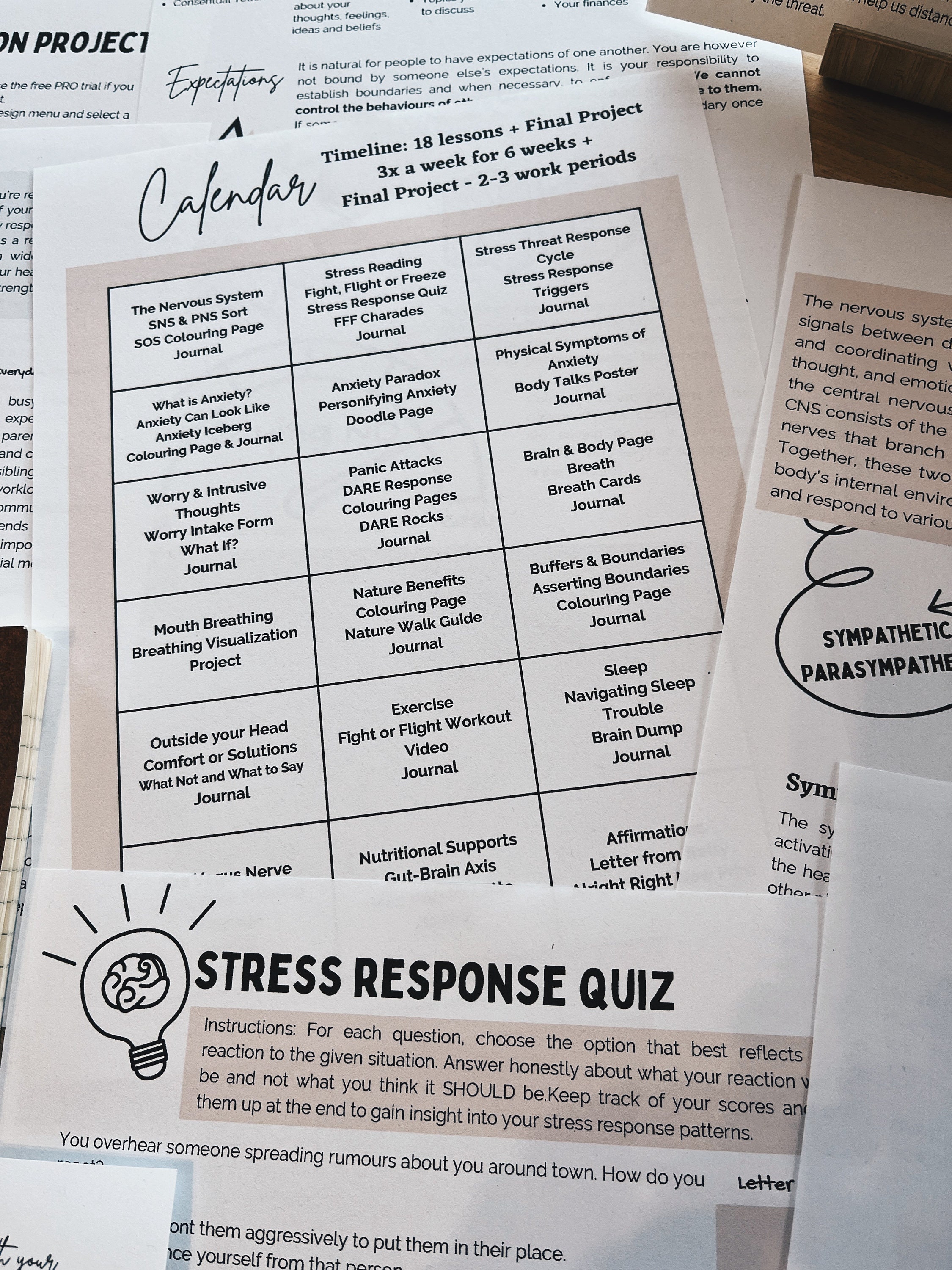 Intro to Anxiety & Nervous System Regulation, Digital PDF Unit Study ...