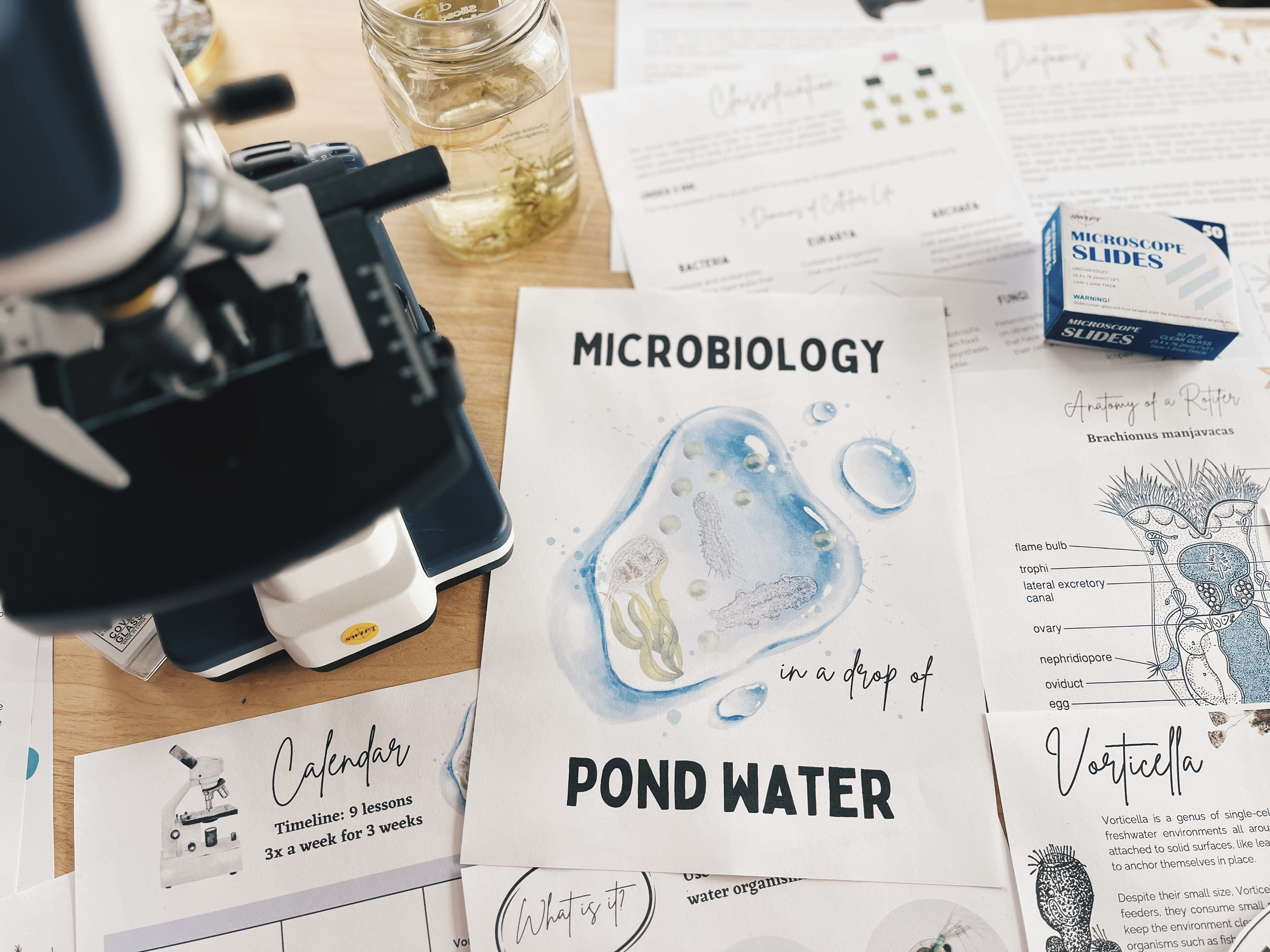 Microbiology in a Drop of Pond Water Unit Study, Middle School and High ...