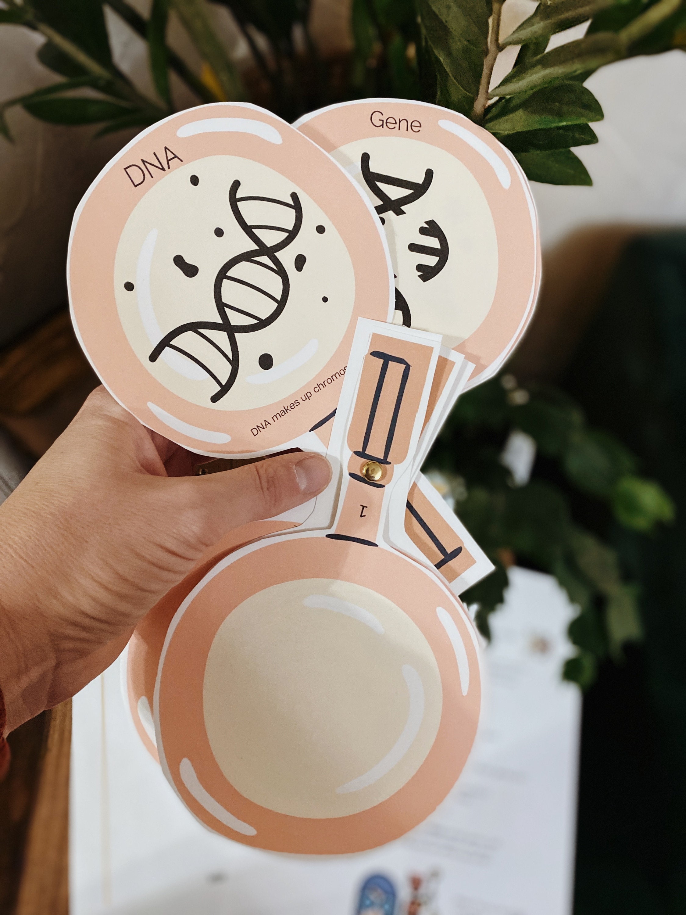 Intro to Genetics Unit, Middle Years Science, High School Science ...