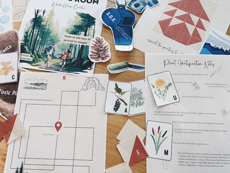 Wilderness Survival Printable Escape Room, Classroom, Middle School ...