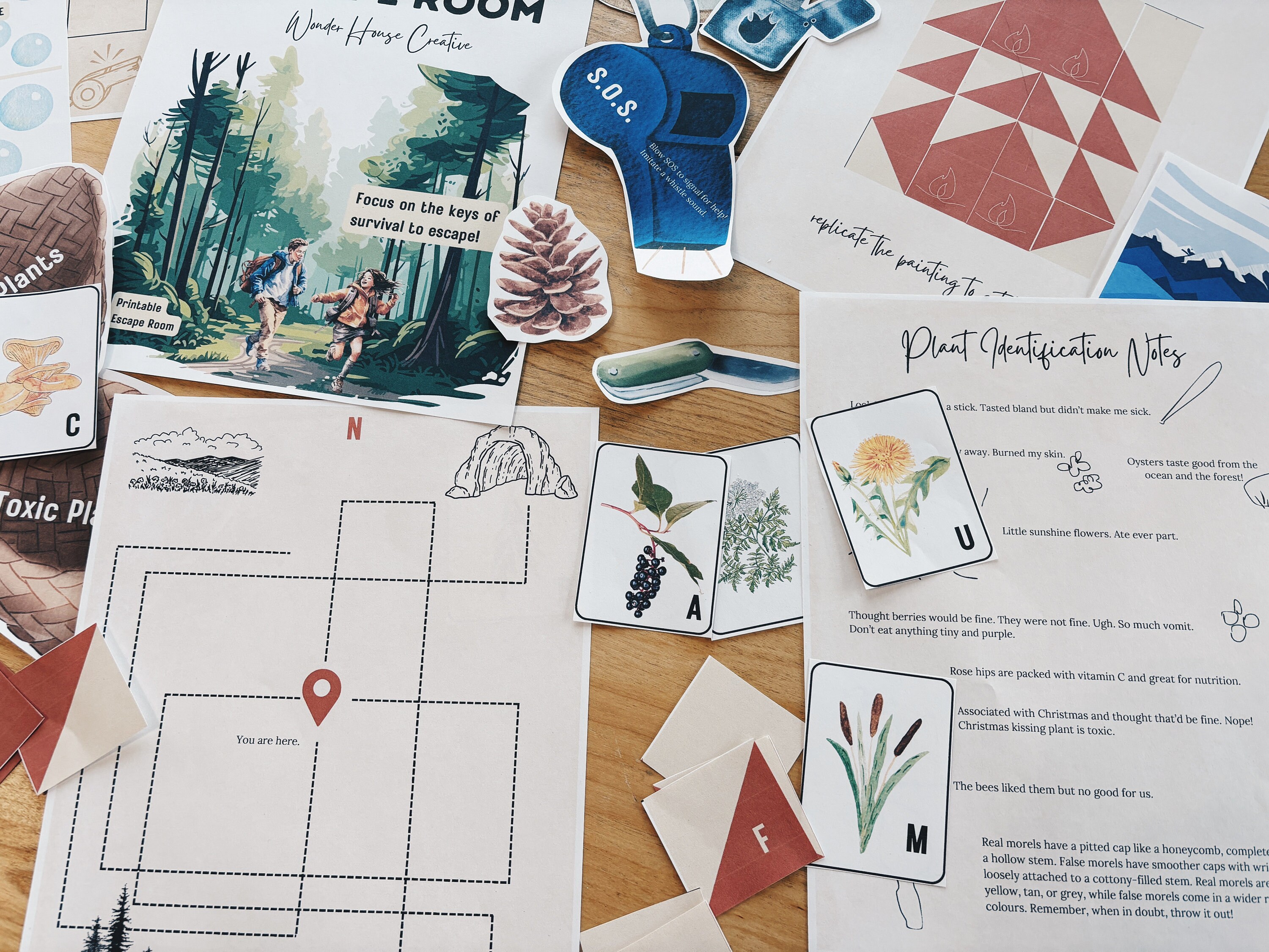 Wilderness Survival Printable Escape Room, Classroom, Middle School ...