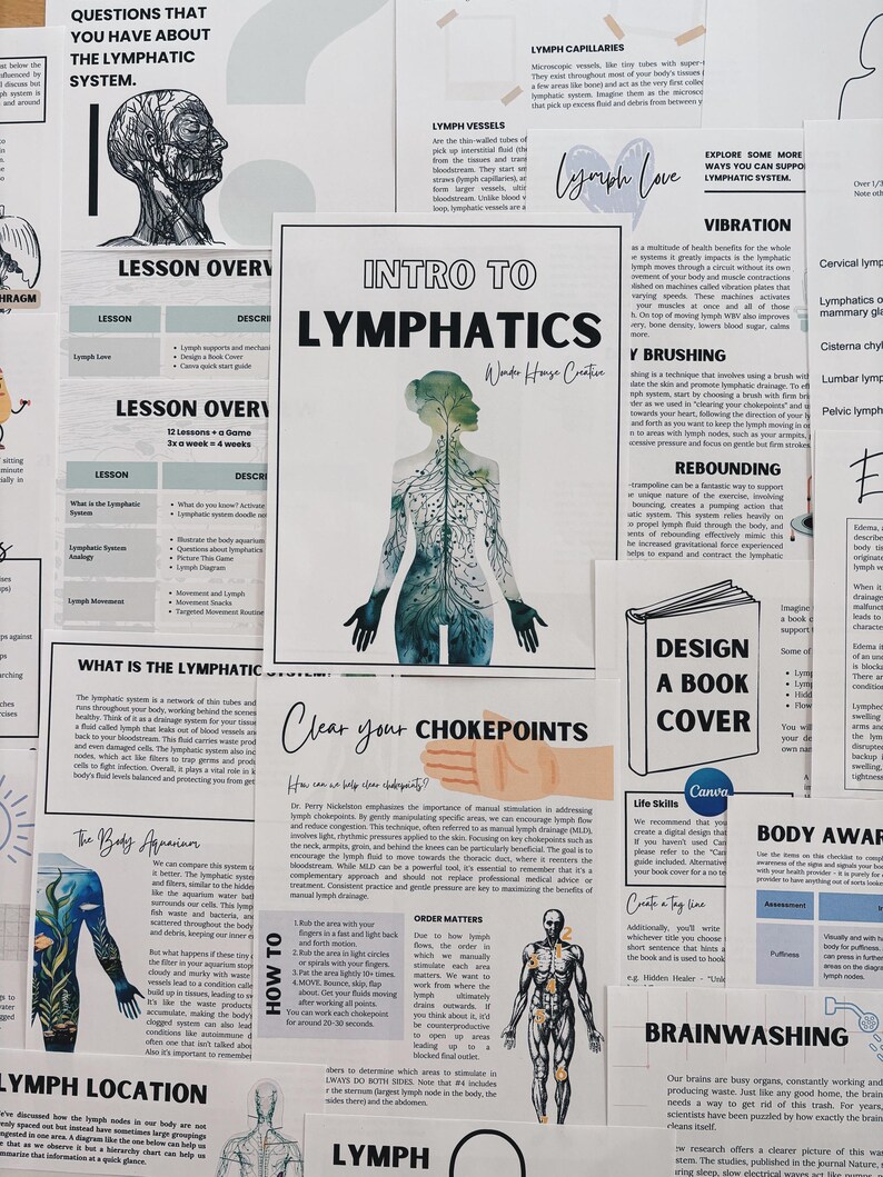 Introduction to Lymphatics Unit Study, Human Body Systems, Middle Years ...