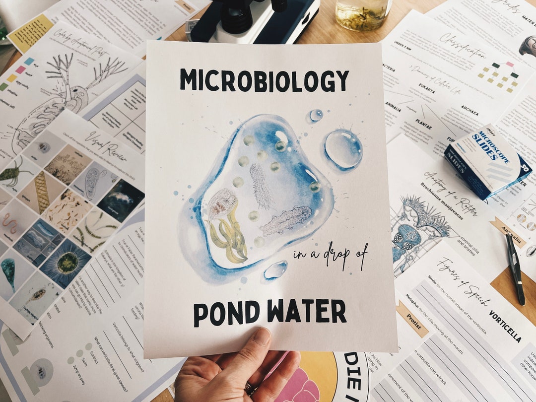 Microbiology in a Drop of Pond Water Unit Study, Middle School and High ...