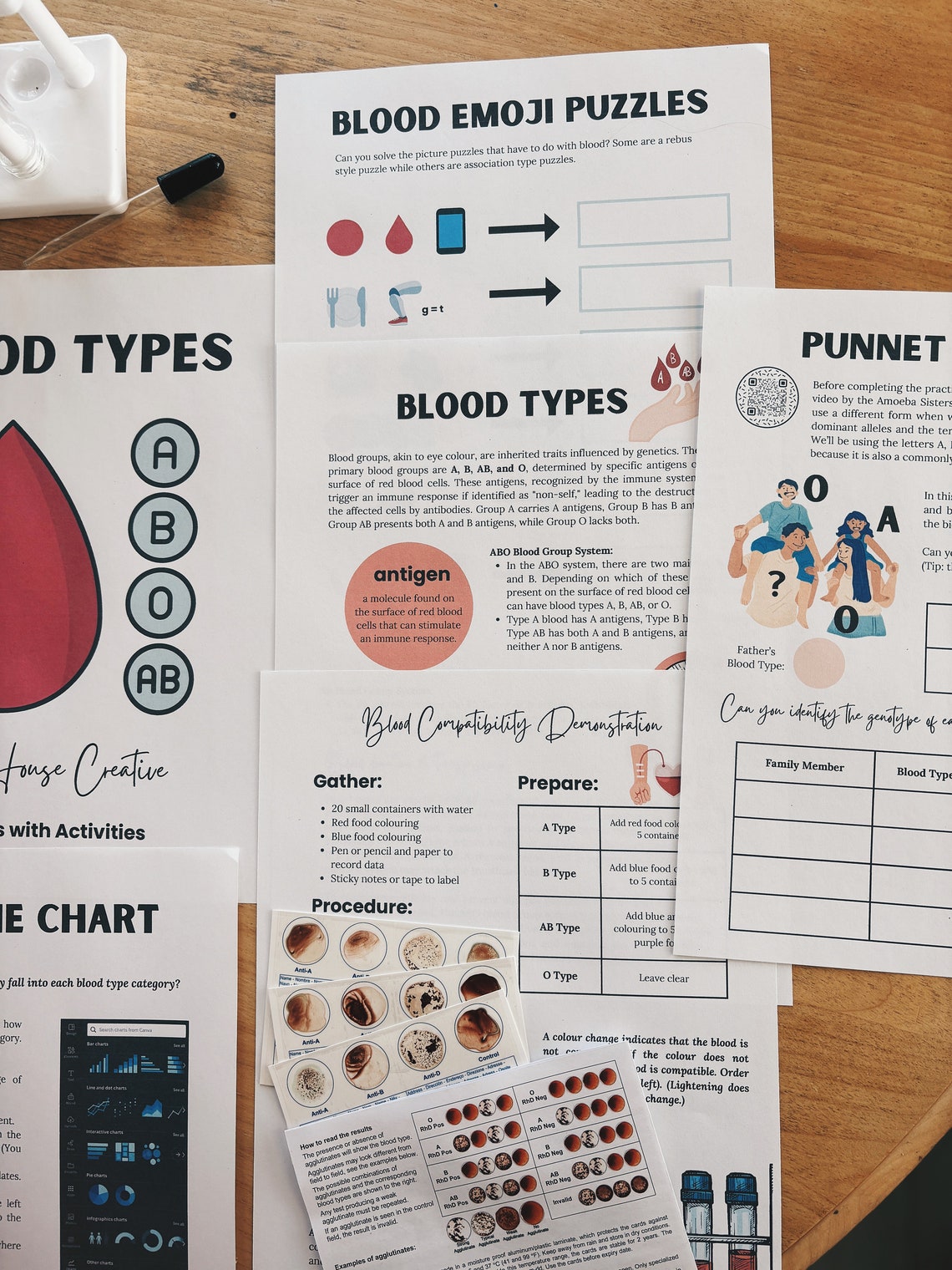 Blood Type Resource Pack, Middle School High School Biology, Science ...