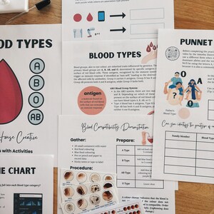 Blood Type Resource Pack, Middle School + High School Biology, Science ...