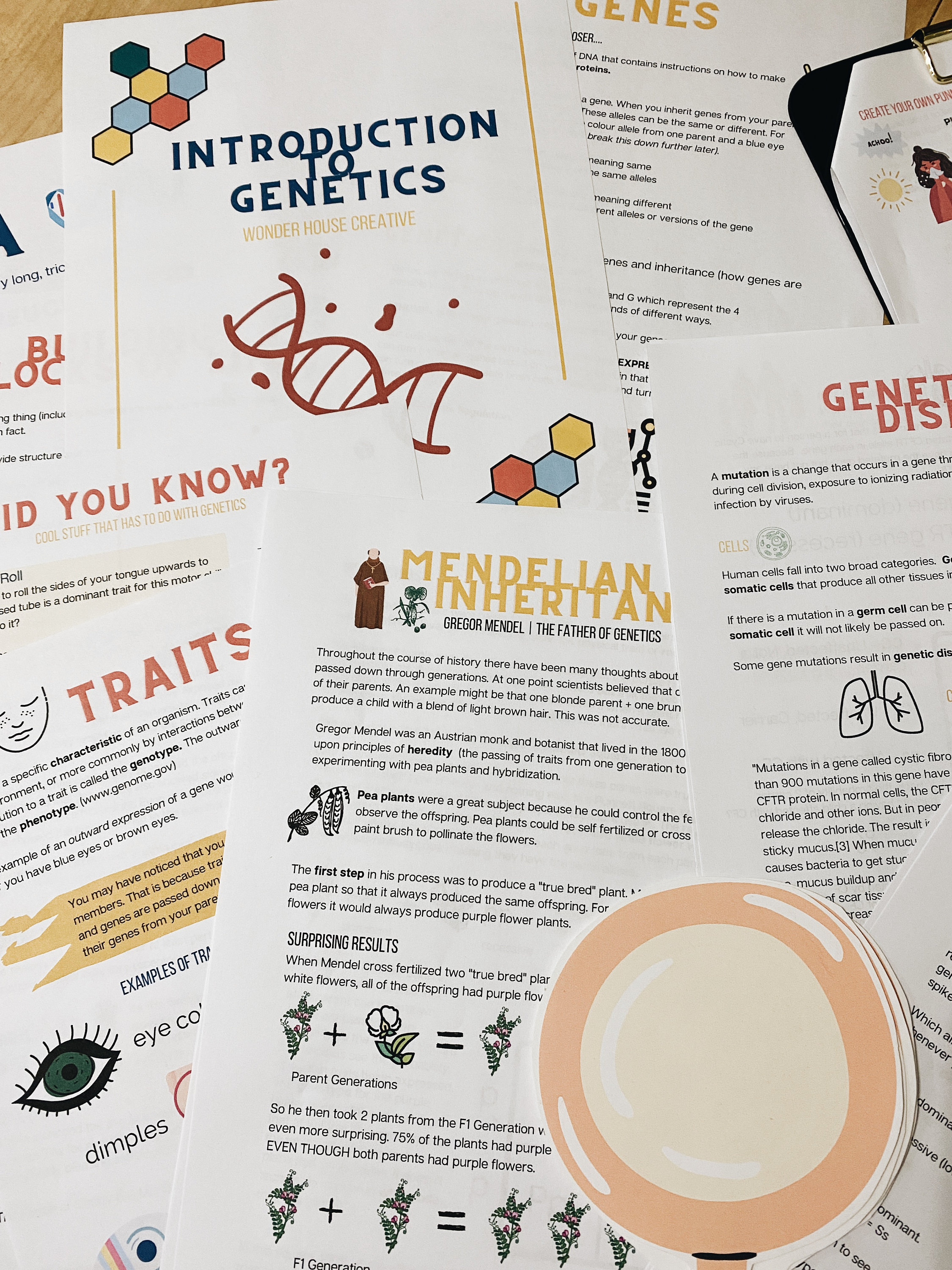 Intro to Genetics Unit, Middle Years Science, High School Science ...