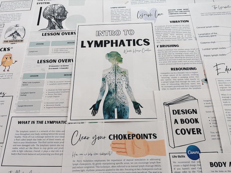Introduction to Lymphatics Unit Study, Human Body Systems, Middle Years ...
