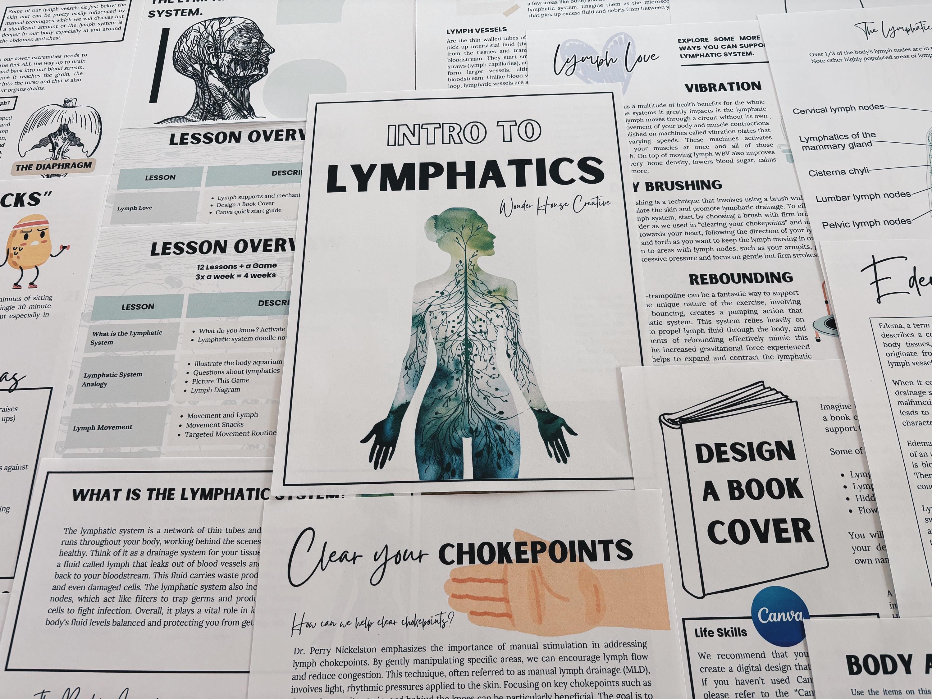 Introduction to Lymphatics Unit Study, Human Body Systems, Middle Years ...