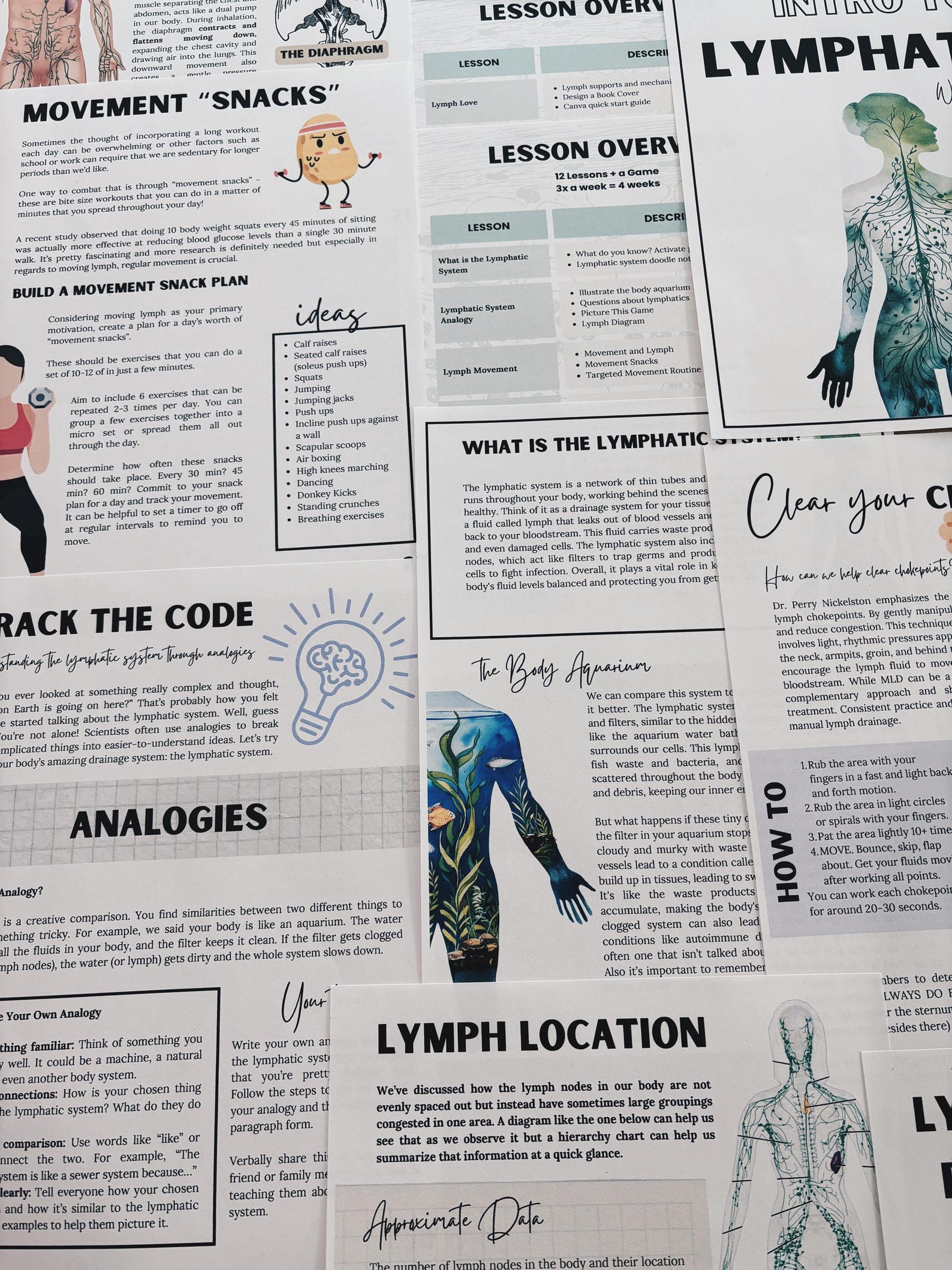 Introduction to Lymphatics Unit Study, Human Body Systems, Middle Years ...