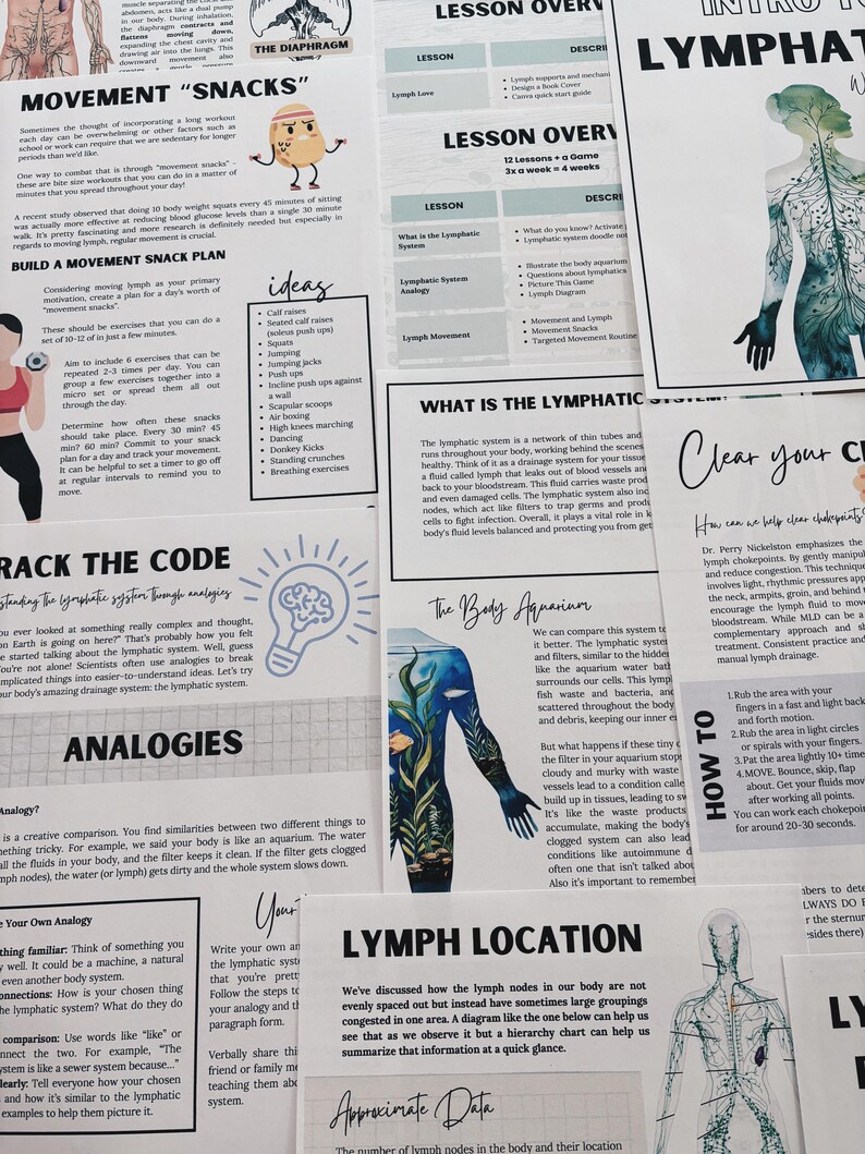 Introduction to Lymphatics Unit Study, Human Body Systems, Middle Years ...