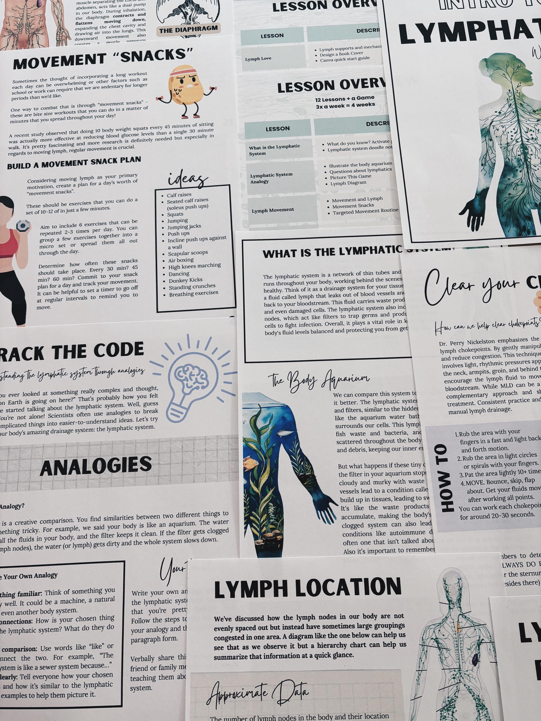 Introduction to Lymphatics Unit Study, Human Body Systems, Middle Years ...