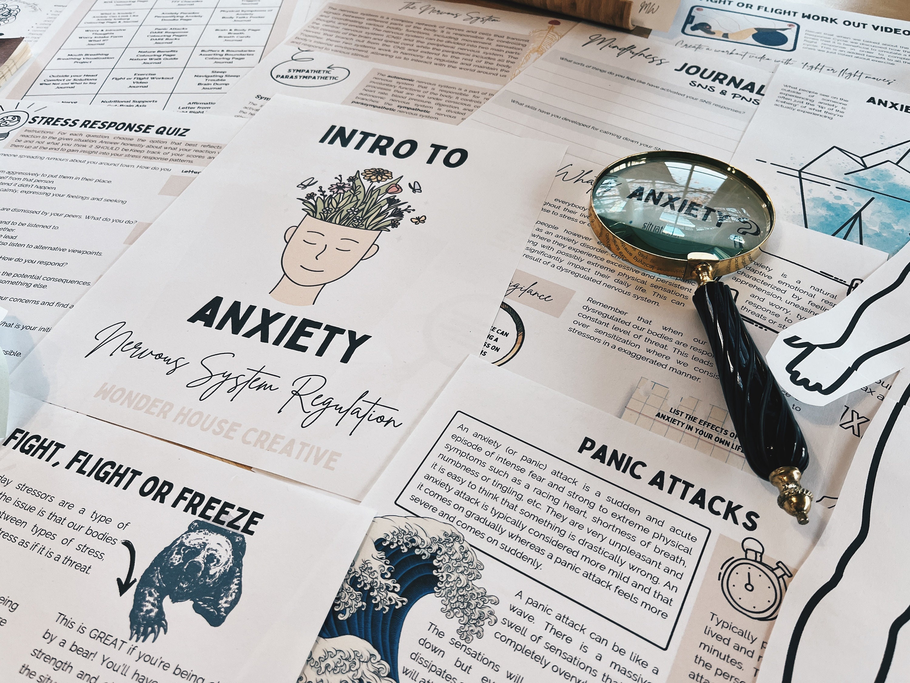 Intro to Anxiety & Nervous System Regulation, Digital PDF Unit Study ...