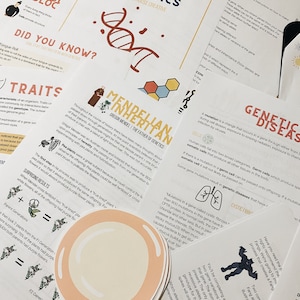 Intro to Genetics Unit, Middle Years Science, High School Science ...