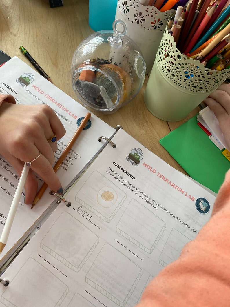 Forest Deep Dive Unit Study, Forest Bathing, Grade 4-8, Elementary ...