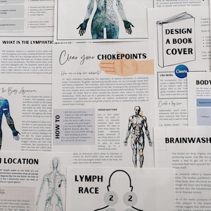 Introduction to Lymphatics Unit Study, Human Body Systems, Middle Years ...