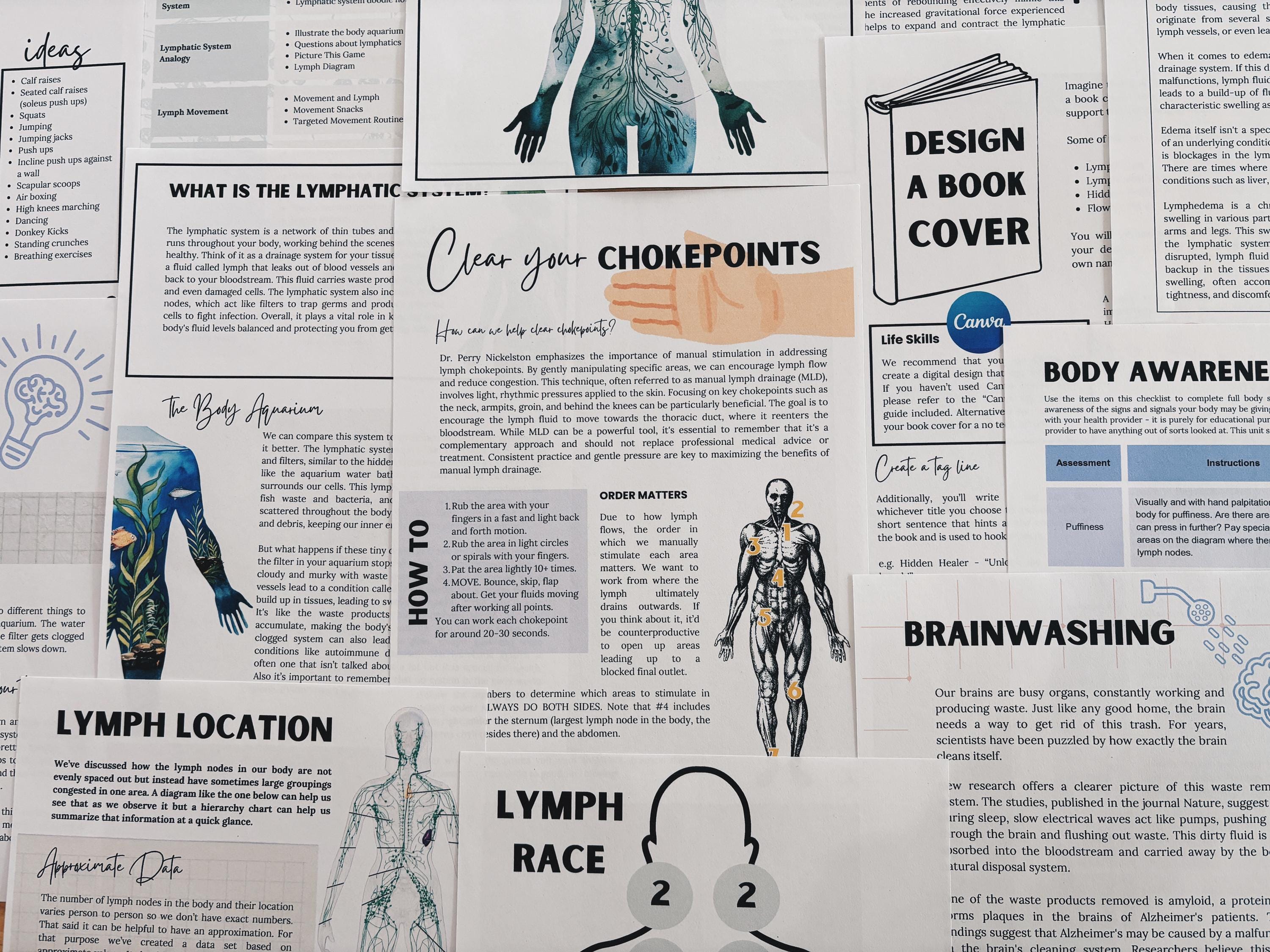 Introduction to Lymphatics Unit Study, Human Body Systems, Middle Years ...