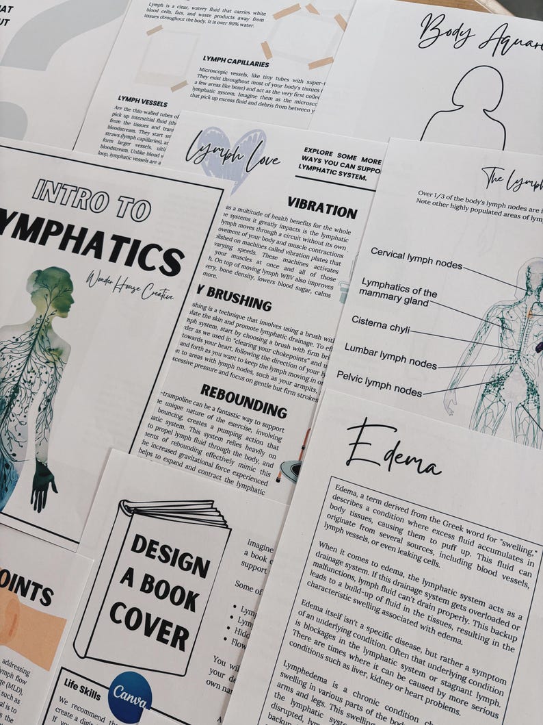 Introduction to Lymphatics Unit Study, Human Body Systems, Middle Years ...